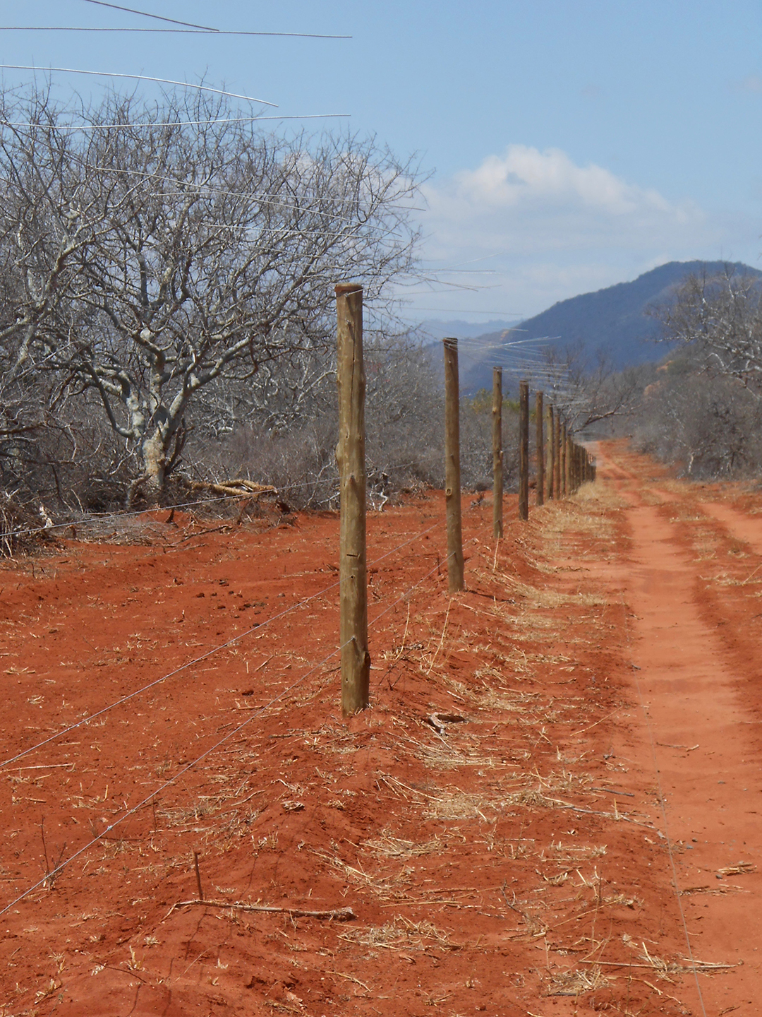 Habitat Protection & Restoration – Amara Conservation