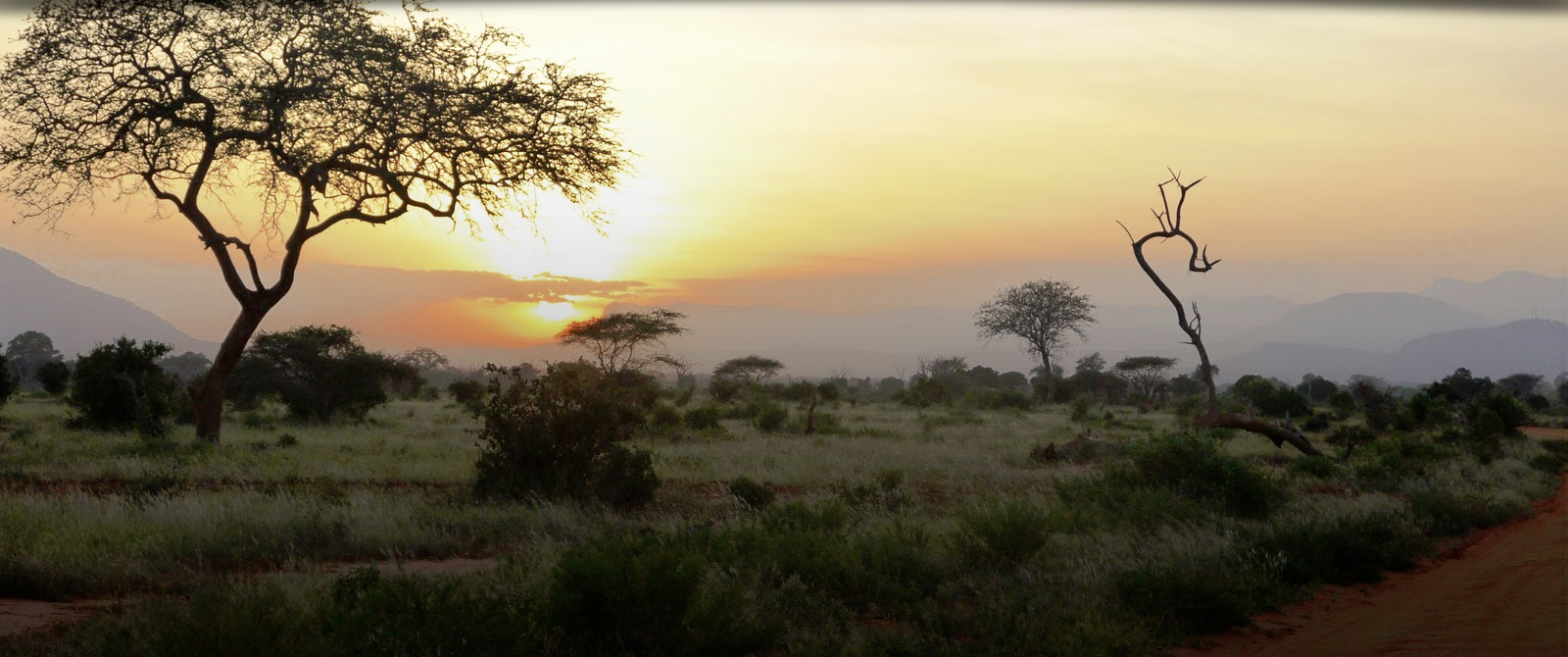 About Amara - Amara Conservation