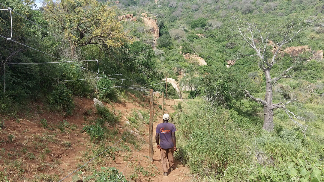 Habitat Protection & Restoration – Amara Conservation